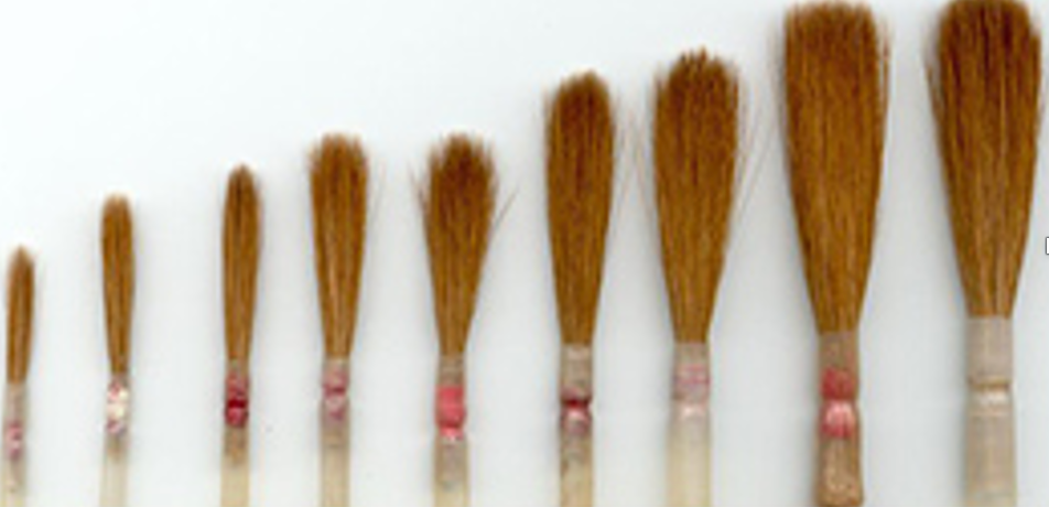 Poster Brushes: Choosing the Right Size and Hair Type for Your Project ...