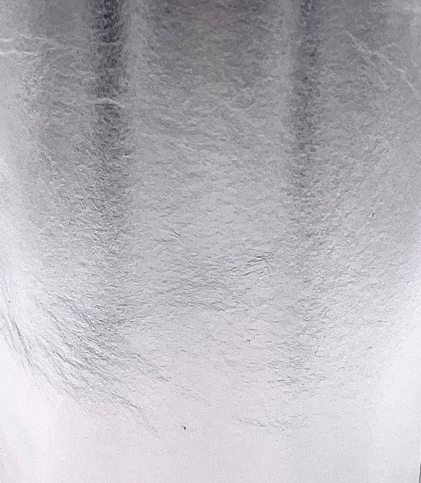 Silver leaf is ultra-thin, pure silver sheets used for gilding, art, and restoration– Wrights of ...